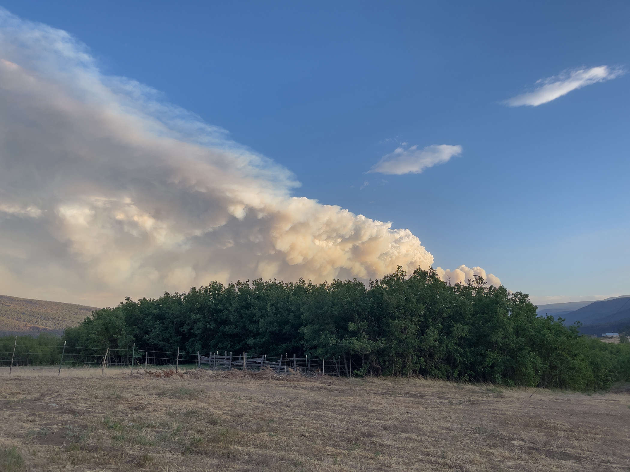 SHARON STEWART | FIRESCAPE BLOG