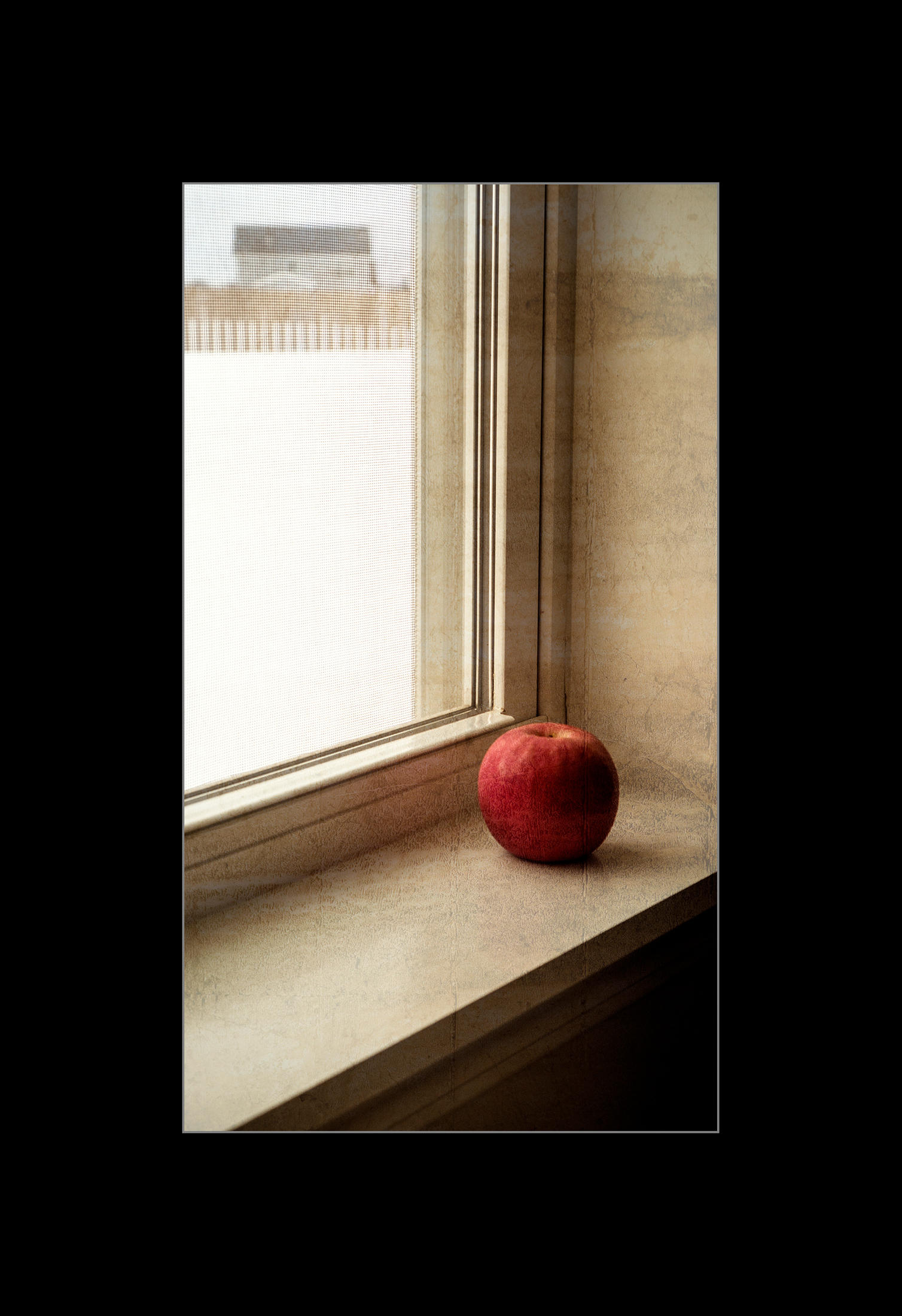 Essence Photography | Expressions of Color