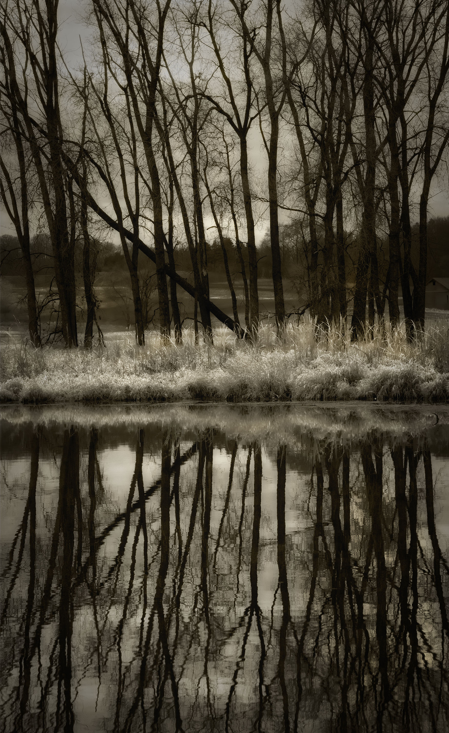 Essence Photography | Exhibits & Awards