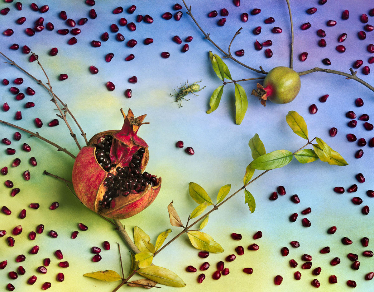 JO WHALEY | Home