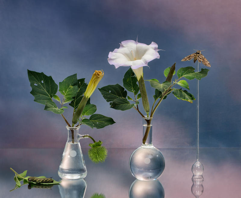 JO WHALEY | Home