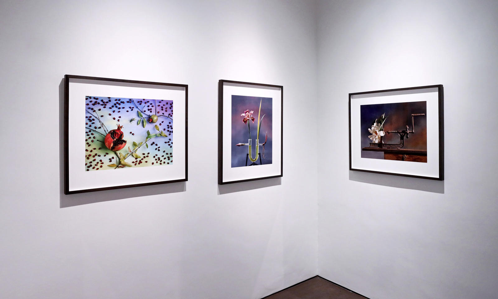 JO WHALEY | GALLERIES