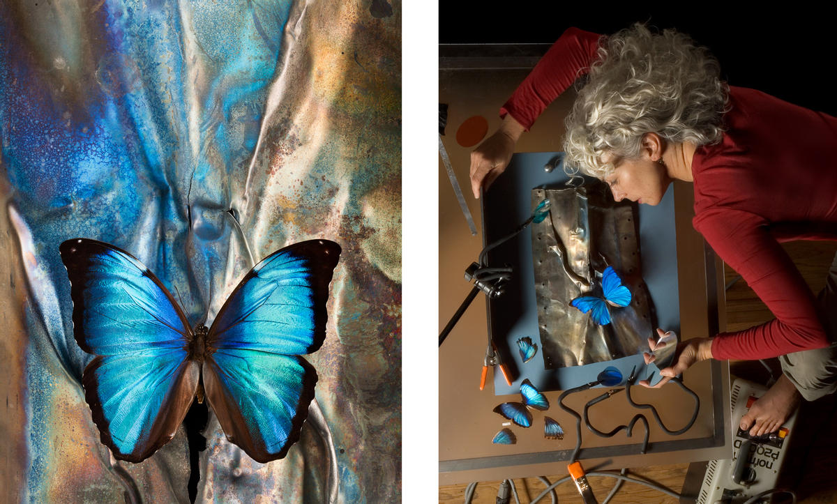 JO WHALEY | The Theater of Insects