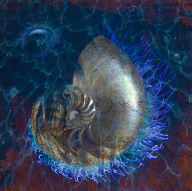 CAROL COATES | Beginnings