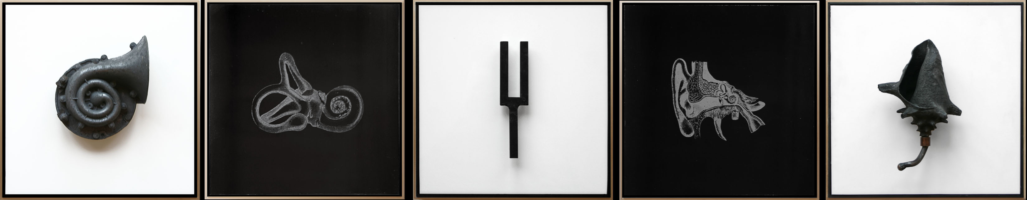 CAROL COATES | Perception Series