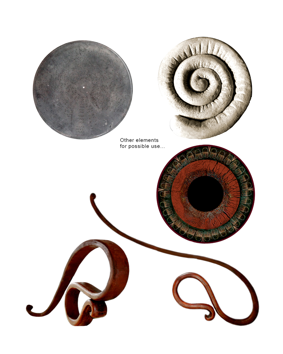 CAROL COATES FINE ART | ABOUT