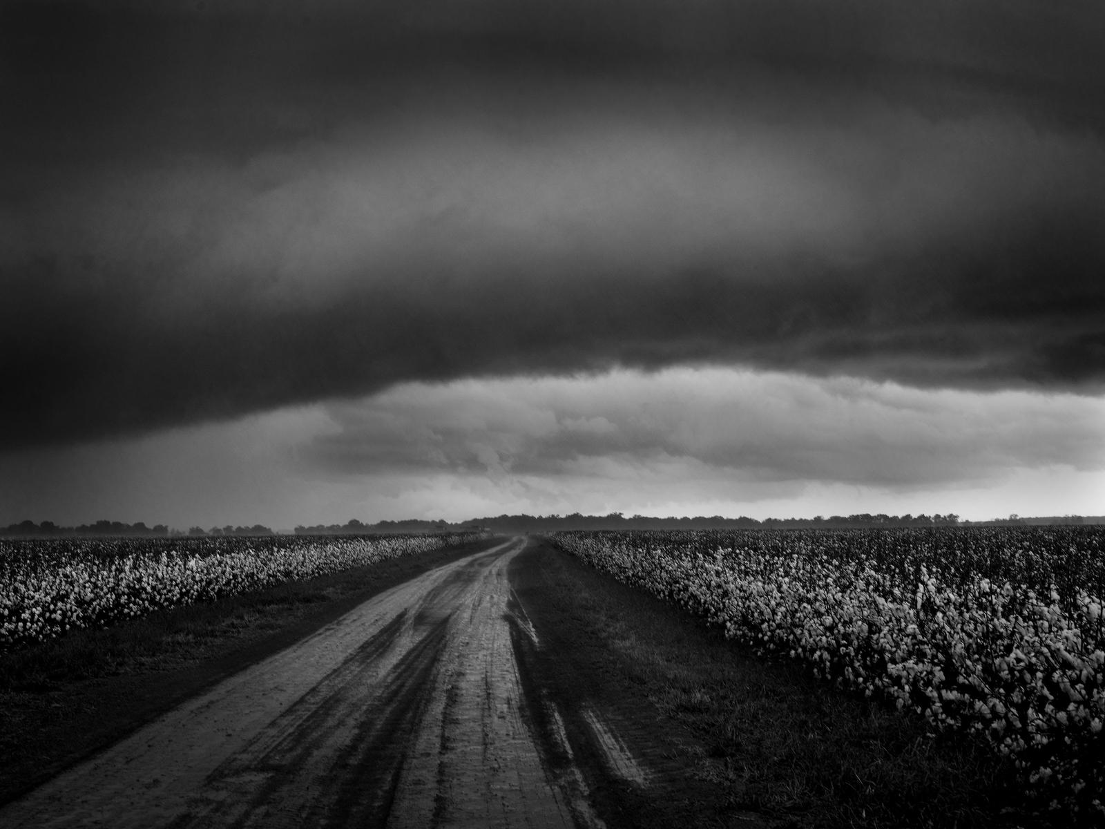 Debbie Fleming Caffery | Home