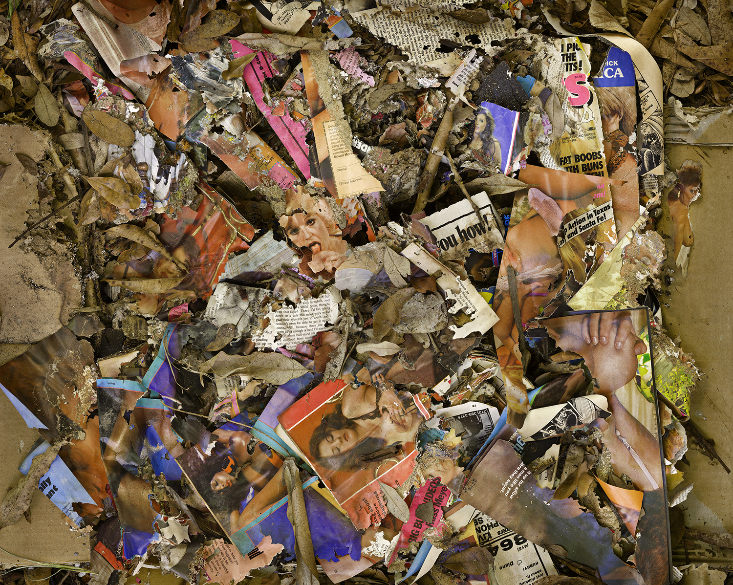Steven Katzman | Human Abstract 1995-2010