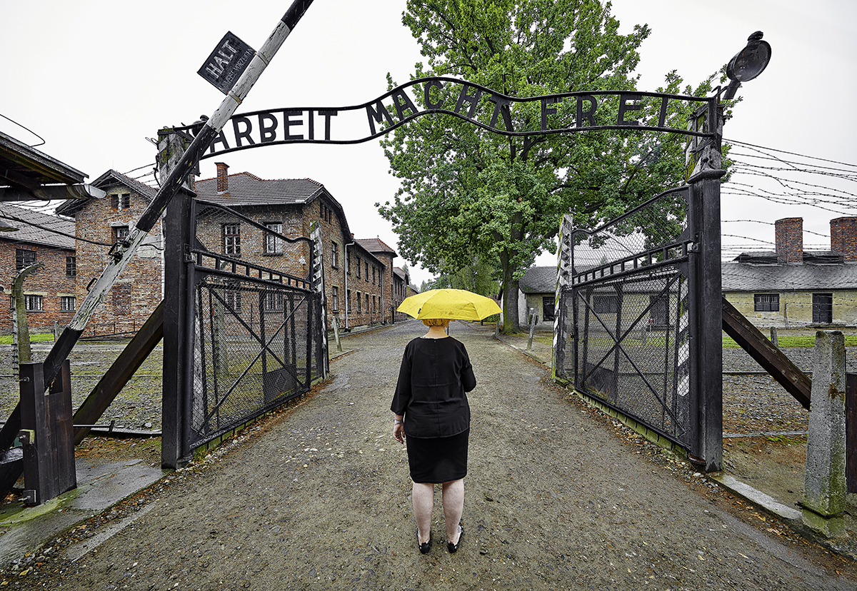 Steven Katzman | Zichronot 2016-23