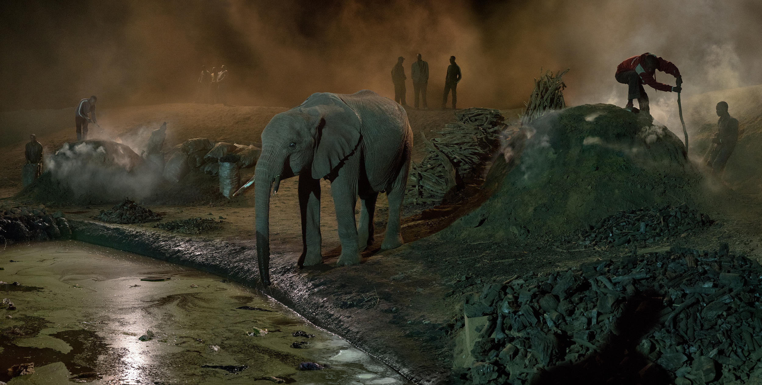 NICK BRANDT | This Empty World: Nick Brandt Photographs