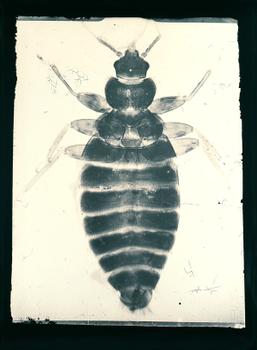 Gary Schneider | Home