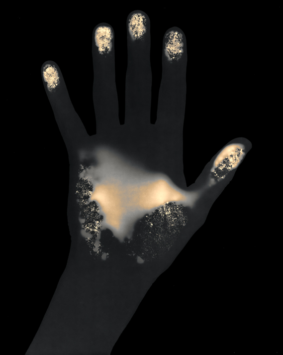 Gary Schneider | Bibliography