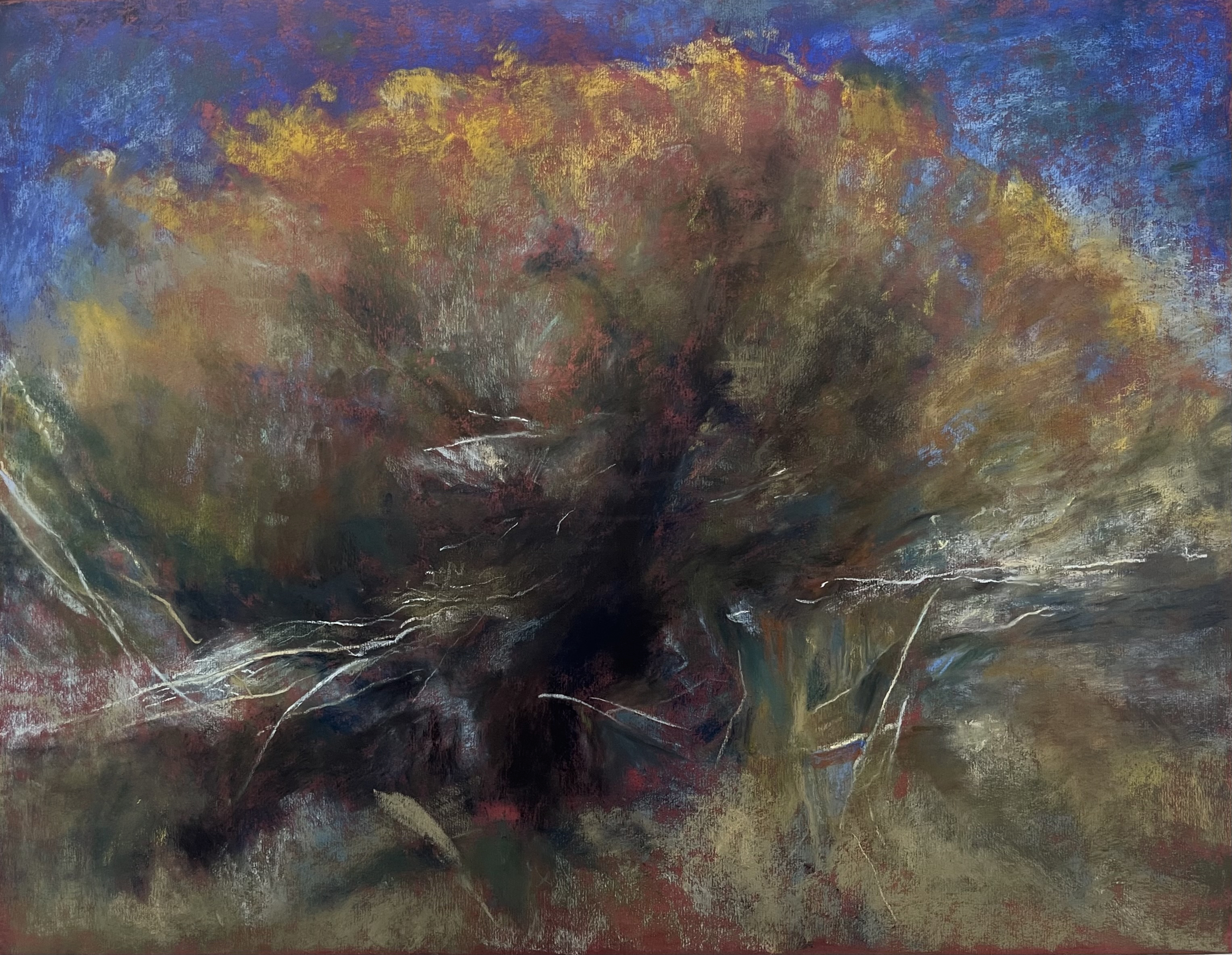 Jane Shoenfeld Fine Art | Studying Chamisa