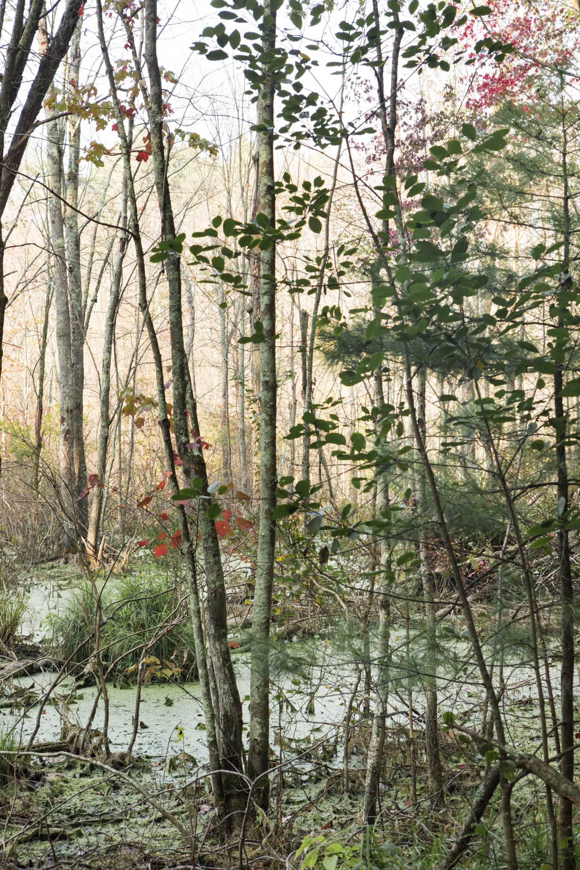 Gail Samuelson | About/Contact