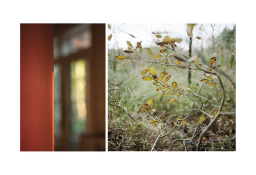 Gail Samuelson | Home