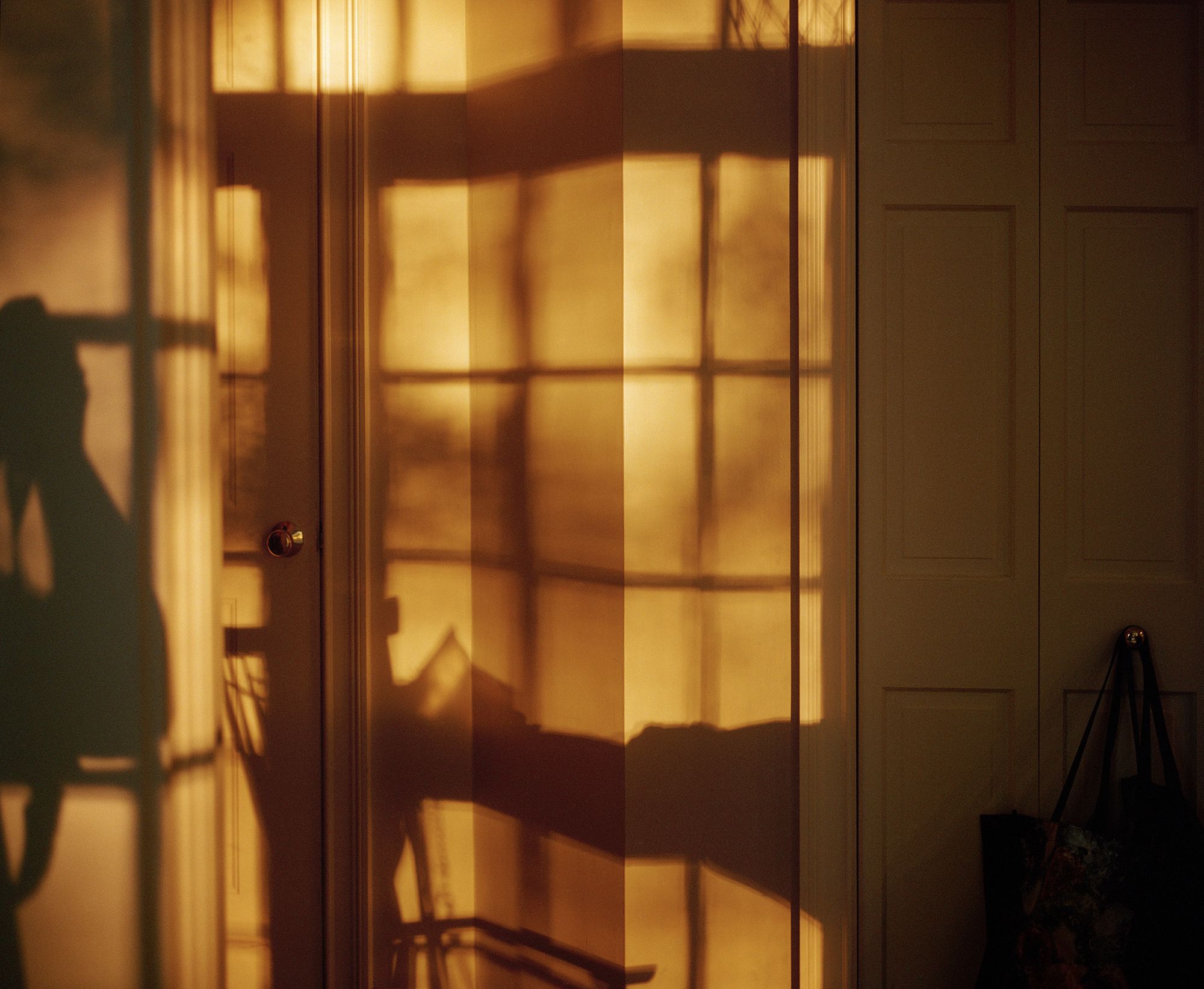 SUZANNE RéVY Photography | Home