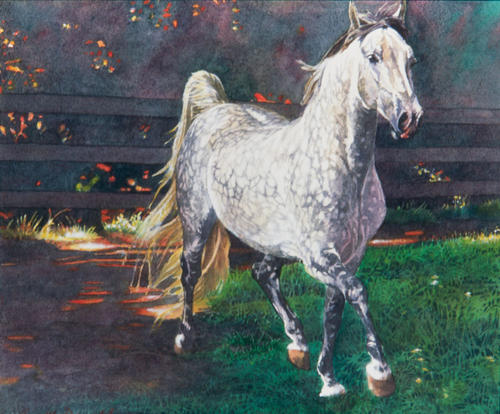 Neil McDonald | Gallery II