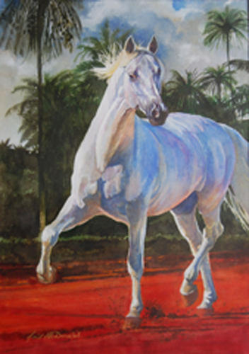 Neil McDonald | Gallery II