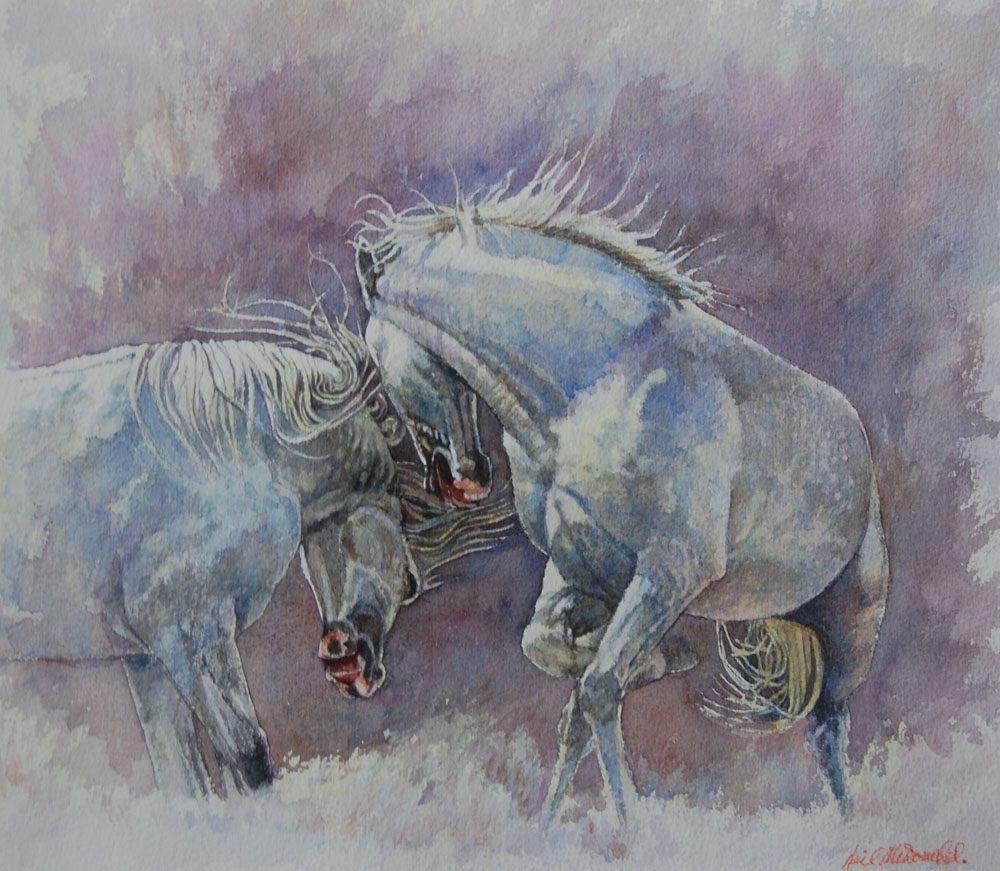 Neil McDonald | Gallery II
