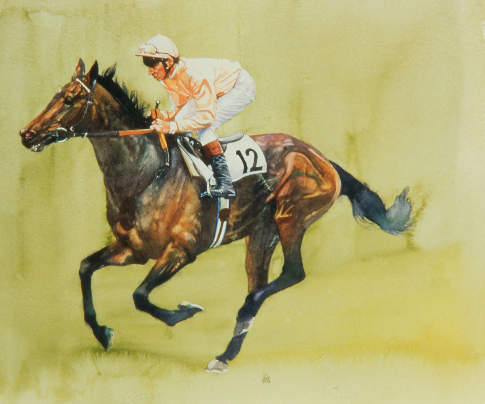 Neil McDonald | Gallery I