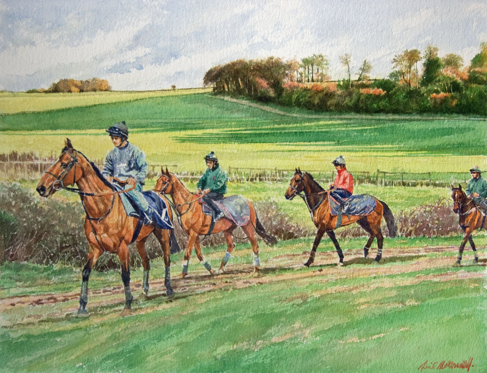Neil McDonald | Gallery I