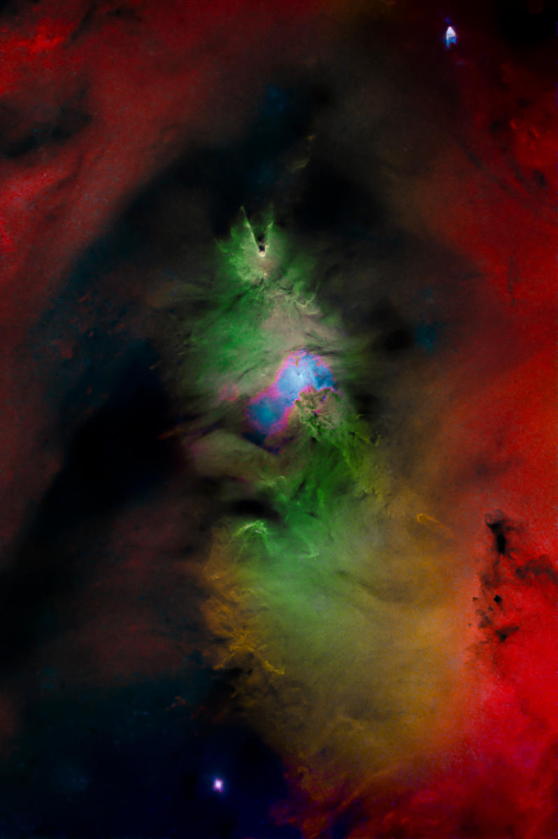 Marsha Wilcox | Ancient Light at the Griffin