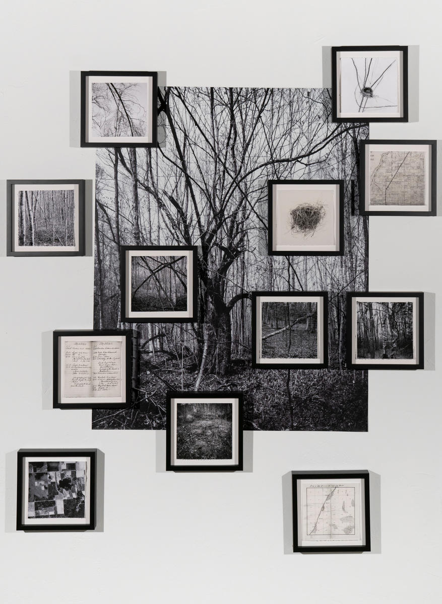 terri warpinski | Home