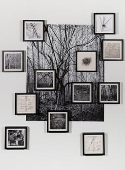 terri warpinski | Home