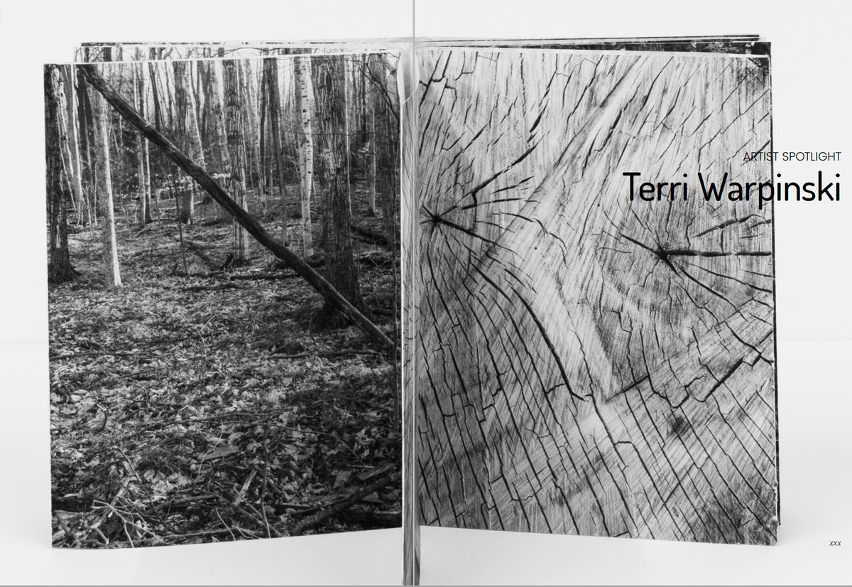 terri warpinski | News & Updates
