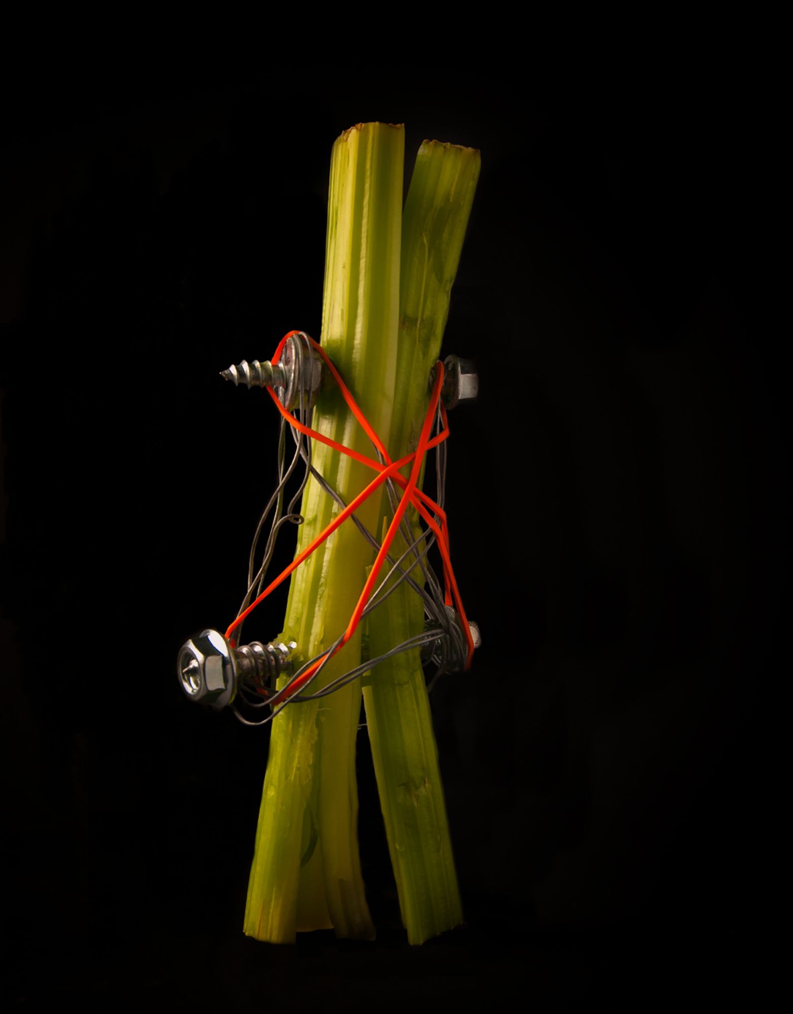Ellen Cantor Fine Art Photography | Unorthodox Anatomy