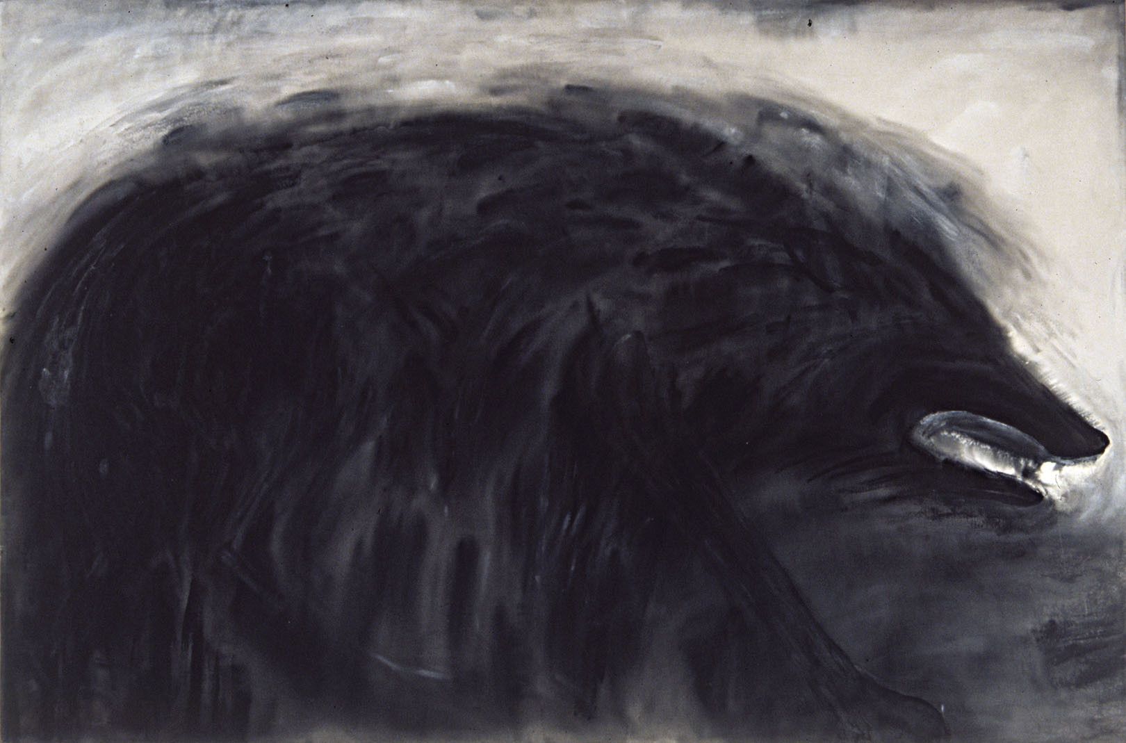 CAROL ROSE BROWN | PAINTINGS