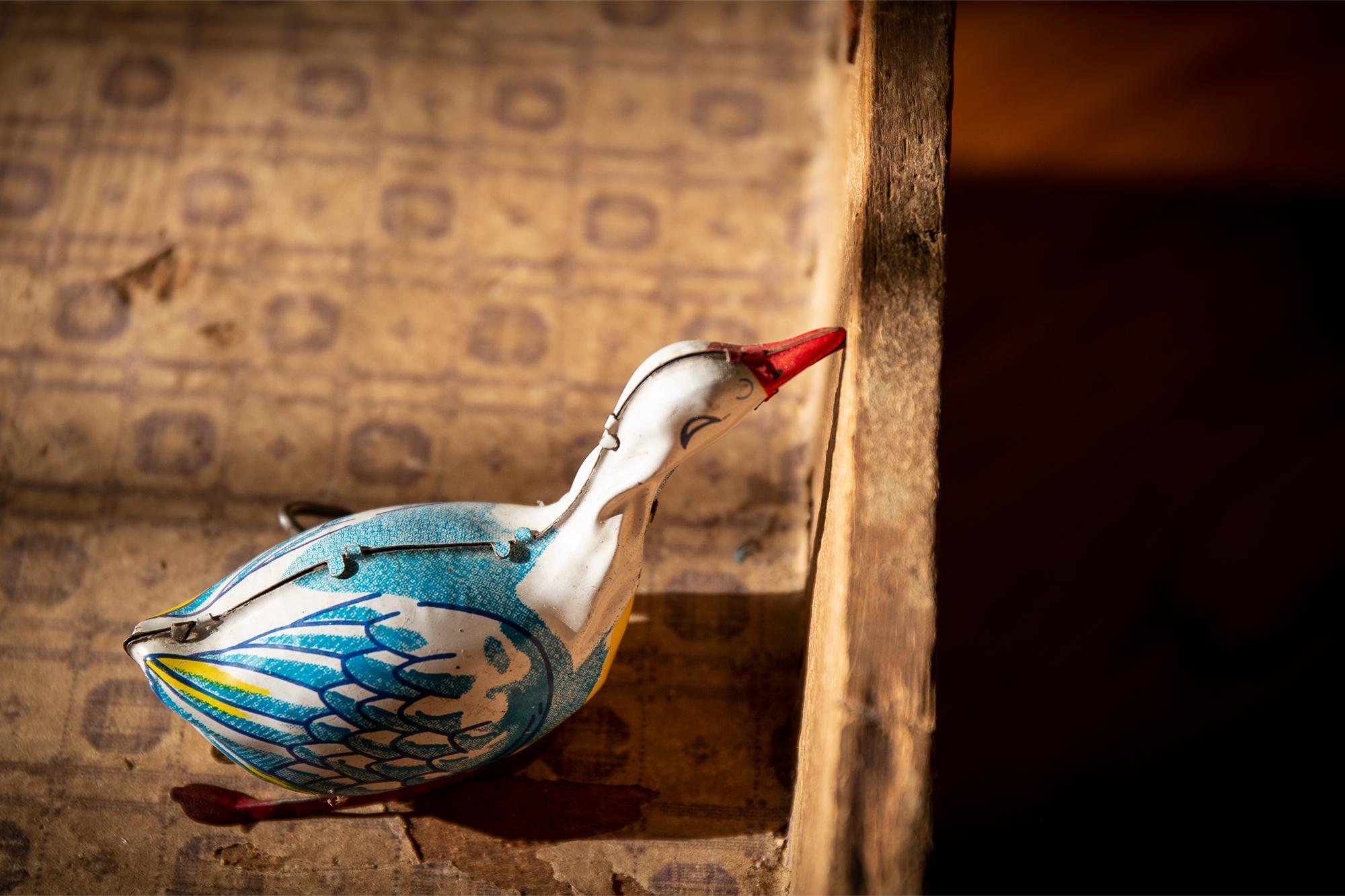 Jane Terry | Biography